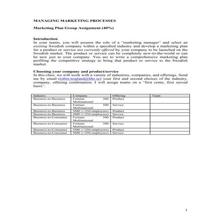 Managing Marketing Processes_Marketing Plan Assignment | PDF