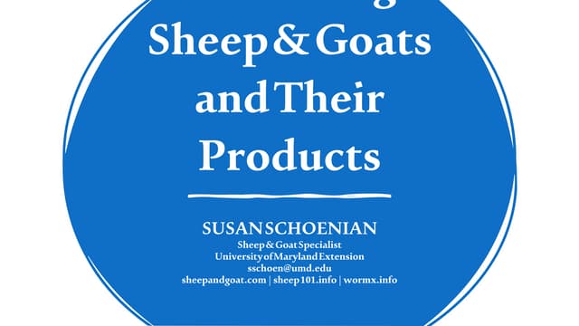 The Five Point Check® | PPTX