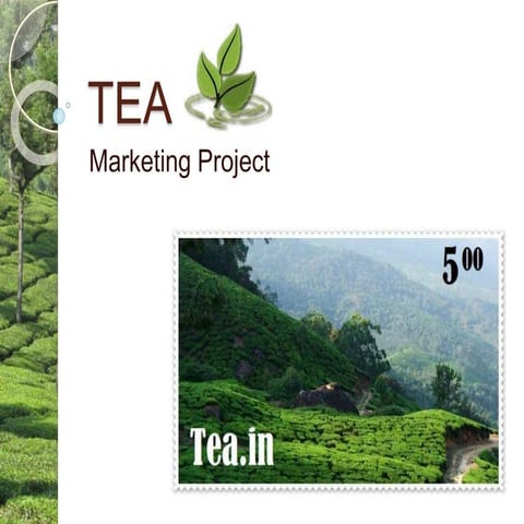 Marketing of tea in India | PPTX