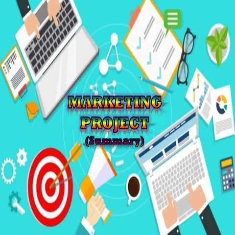 Marketing Project (summary) | PDF