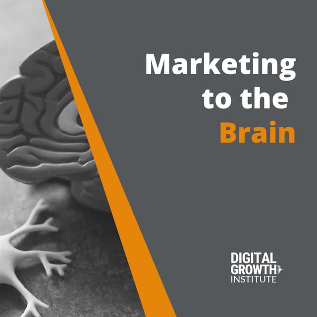 5-Step Digital Communication Strategy | PDF