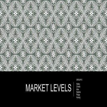 Market levels presentation group 5 | PPT