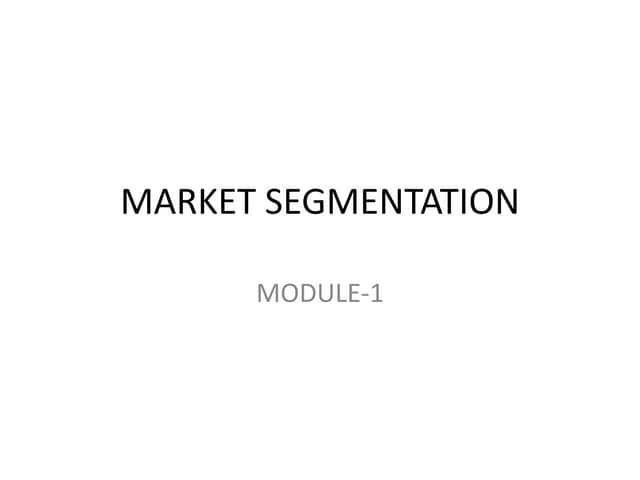 Market Segmentation PPT | PPTX