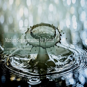 Market segmentation by brand | PDF
