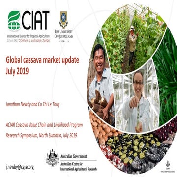 Global cassava market update July 2019 | PDF