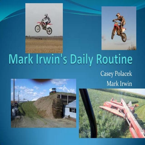 Daily routine | PPTX