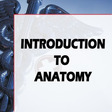 pathfit1-LESSON 1-ANATOMICAL POSITIONS.pptx