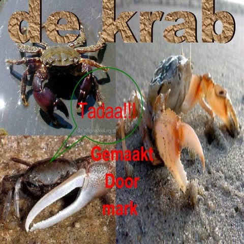 De krab | PPT