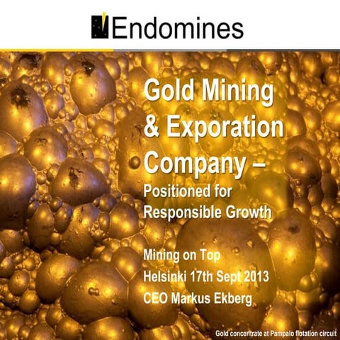Gold Mining & Exporation Company – Positioned for Responsible Growth ...