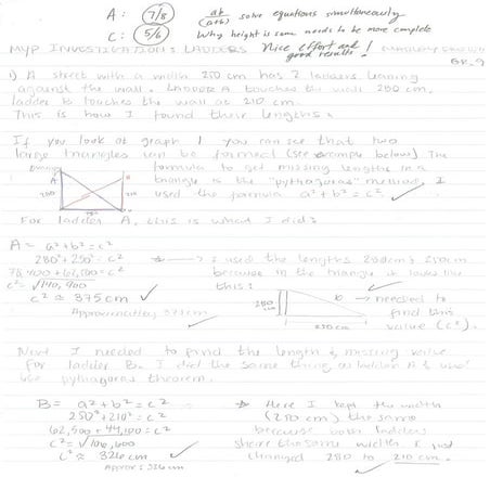 MYP Investigation | PDF