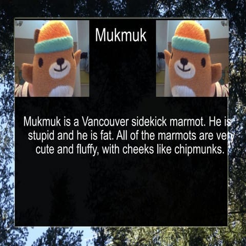 Marmot Is A Piece of Meat | PPT