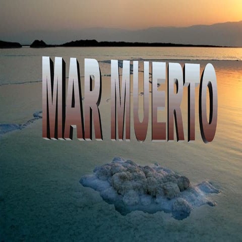 Mar Muerto | PPS