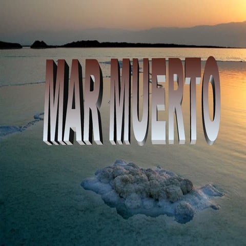 "El mar muerto" | PPTX
