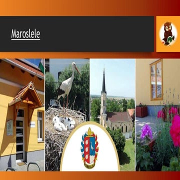 Maroslele bemutat | PPT