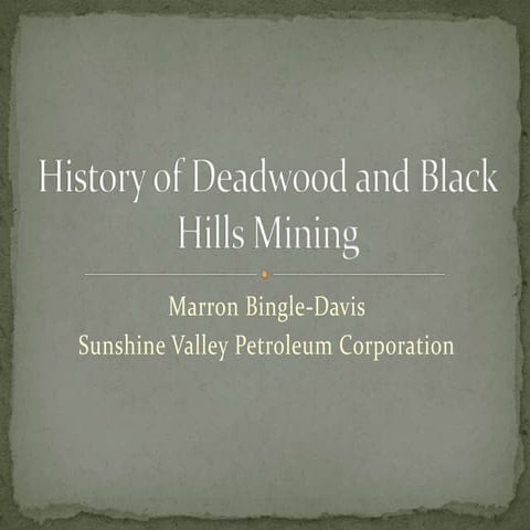 history of deadwood and black hills mining - august 2014 | PDF