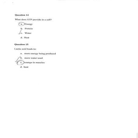 Marsci 4 | PDF