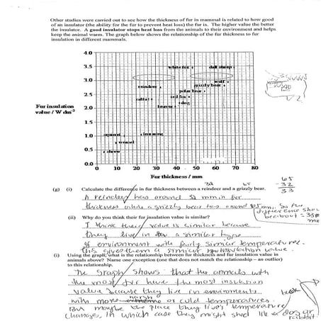 Yeast Lab Report | PDF