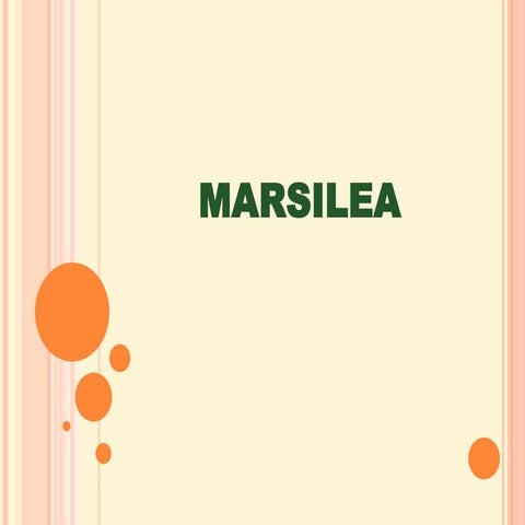 Marsilea structure and reproduction | PPTX