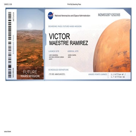 Boarding Pass: Future Mars Mission | PDF | Space and Astronomy | Science