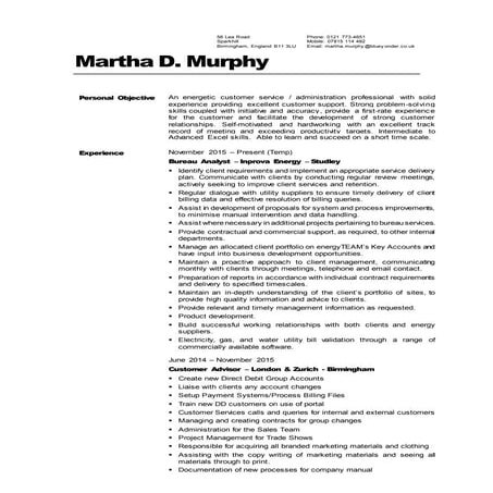 Steven Maisel CV May 2015 | PDF