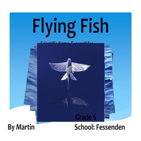 Martin final flying fish 2010 | PPT