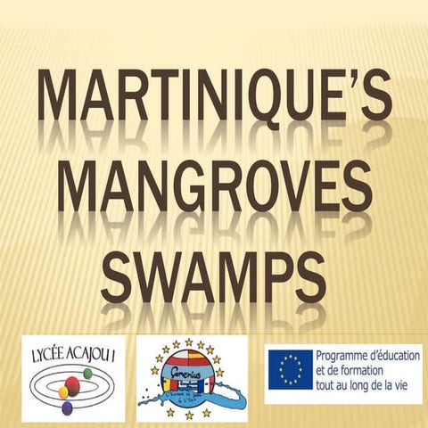 Martinique’s mangroves | PPT
