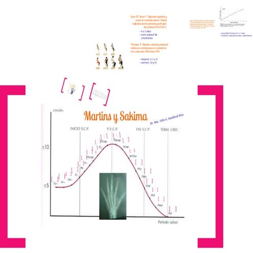 Martins y sakima | PDF