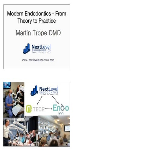 Modern endodontics from theory to practice | PDF