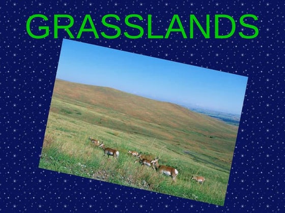 Grassland | PPT | Weather | Science