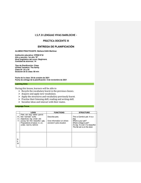 Secondary Level - Lesson Plan 1 | PDF