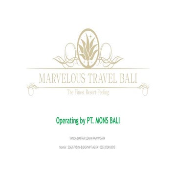 Marvelous travel company profile | PDF