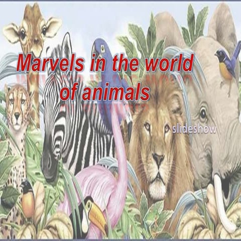 Marvels in the world of animals | PPTX