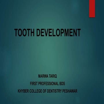 marwa tariq tooth development stages.pptx
