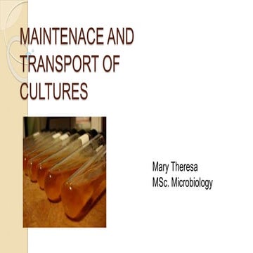 Mary theresa maintenace and transport of cultures [autosaved] | PPTX