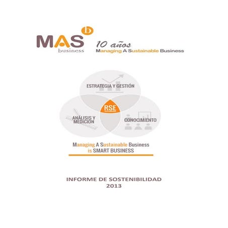 AA1000 APS 2008 final | PDF