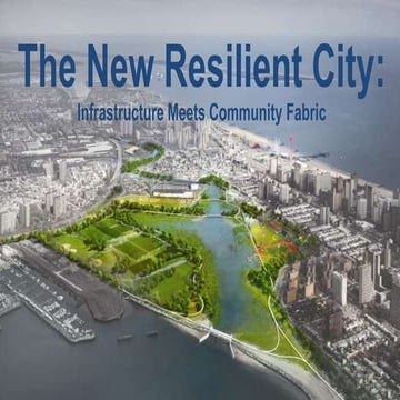 The New Resilient City | PPTX