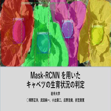 Mask-RCNNを用いたキャベツの結球認識 | PPTX