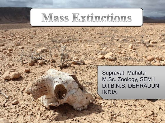 K/T Extinction | PPT