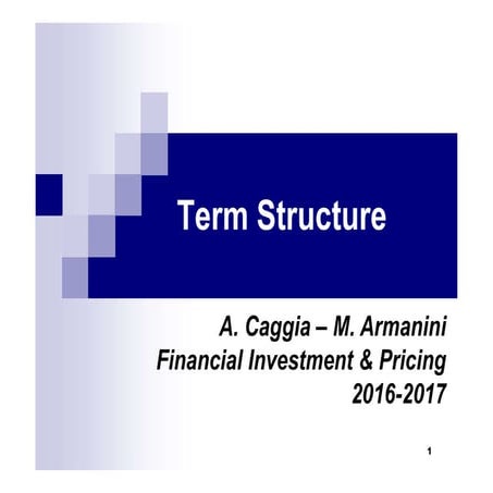Massimo Armanini - Term Structure | PDF