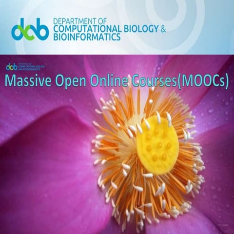 Trio Presentation | PPTX