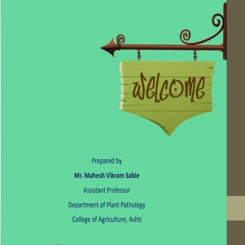 Mass producation HaNPV & EPN | PPTX