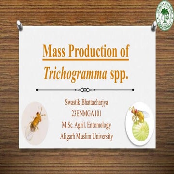 Mass Production of Trichogramma sp..pptx