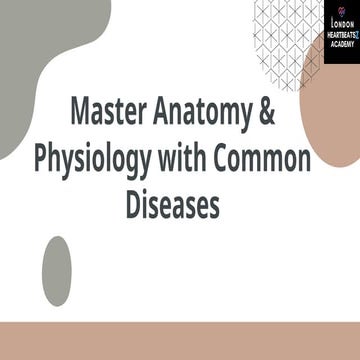Master Anatomy & Physiology with Common Diseases – London HeartbeatsZ ...