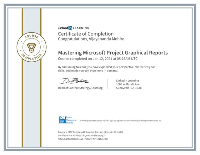 Mastering microsoft project graphical reports pmi | PPT Mastering microsoft project graphical reports pmi | PPT