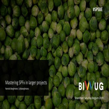 Mastering sp fx in larger projects yannick borghmans | PPTX
