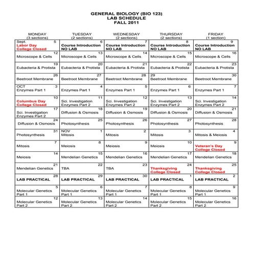 Lecture schedule 2011 | PPT