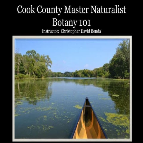 Master Naturalist Botany Cook County | PPTX