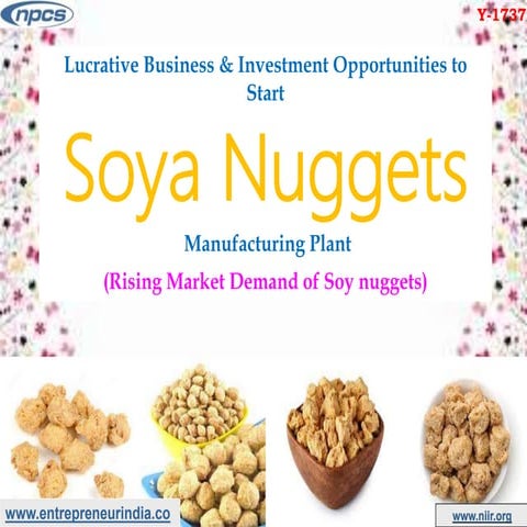 Lucrative Business & Investment Opportunities to Start Soya Nuggets Manufacturing Plant (Rising ...