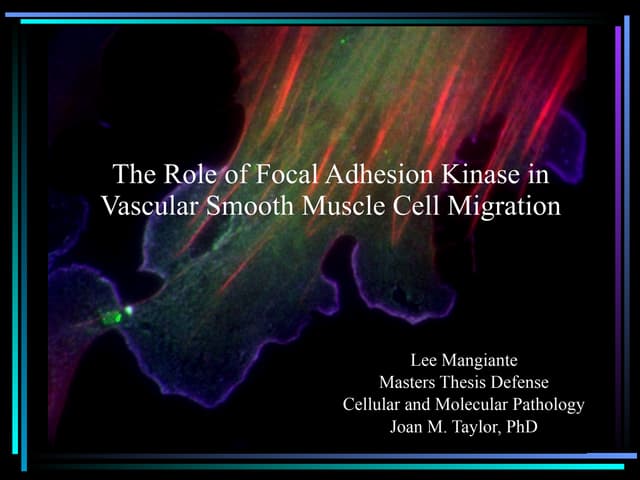 Masters Thesis Defense Presentation | PPT