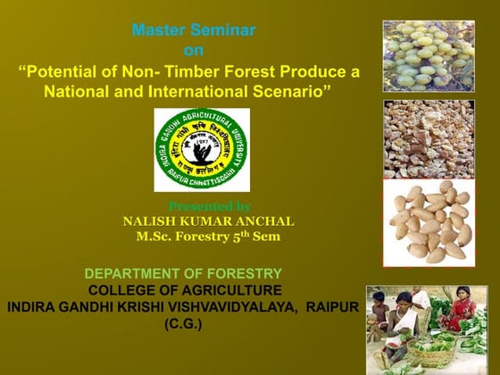 Forest utilization and its commercial aspects | PPTX | Woodworking ...